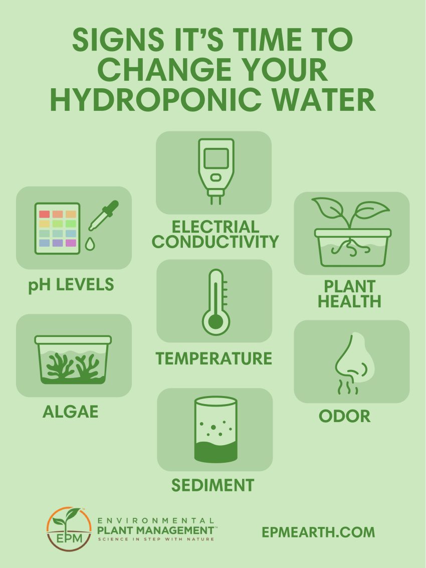 How Often To Change Hydroponic Water